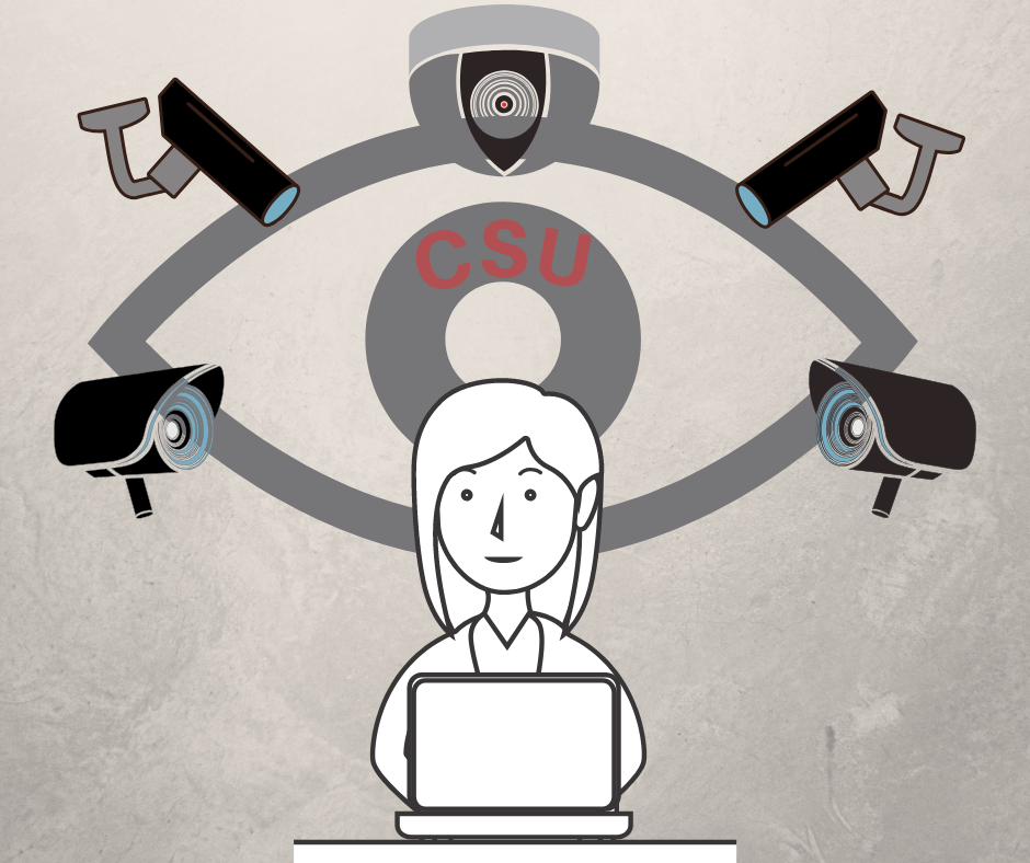 Breaking News | PROTECT OUR PRIVACY: Surveillance for Safety, Not ...